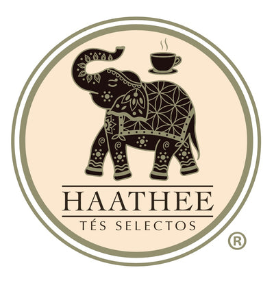 ¿Qué es el té chai y cómo se prepara? – Haathee Tés Selectos